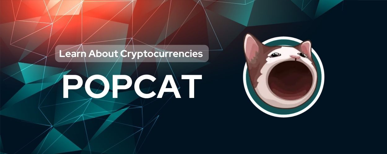 What is Popcat (POPCAT)? - CoinPasar